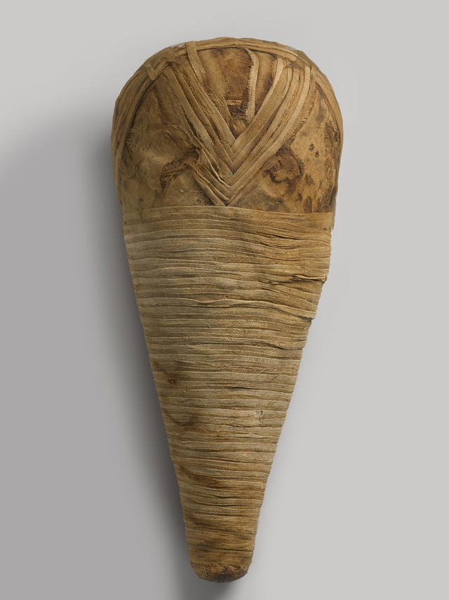 Ibis Mummy · Brooklyn Museum