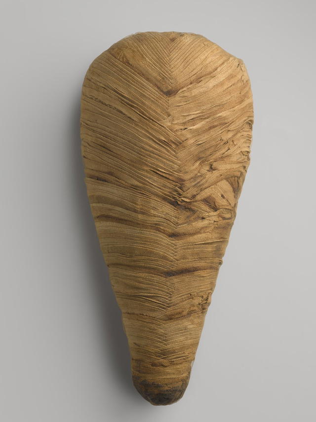 Ibis Mummy · Brooklyn Museum
