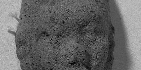 Concave Face · Brooklyn Museum