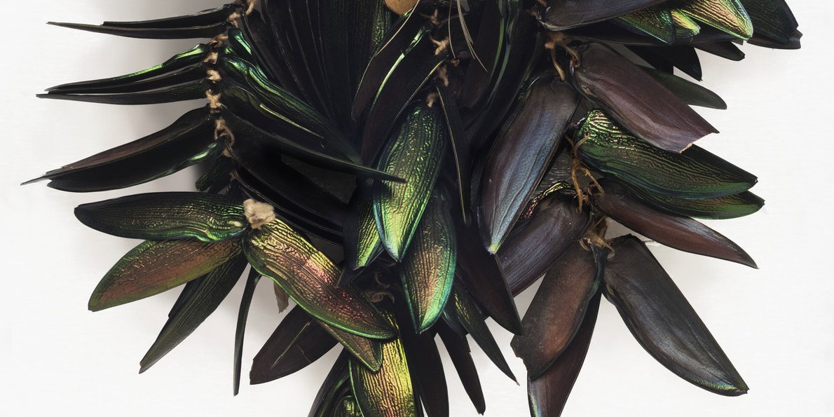 Strands of Beetle-Wing Covers · Brooklyn Museum