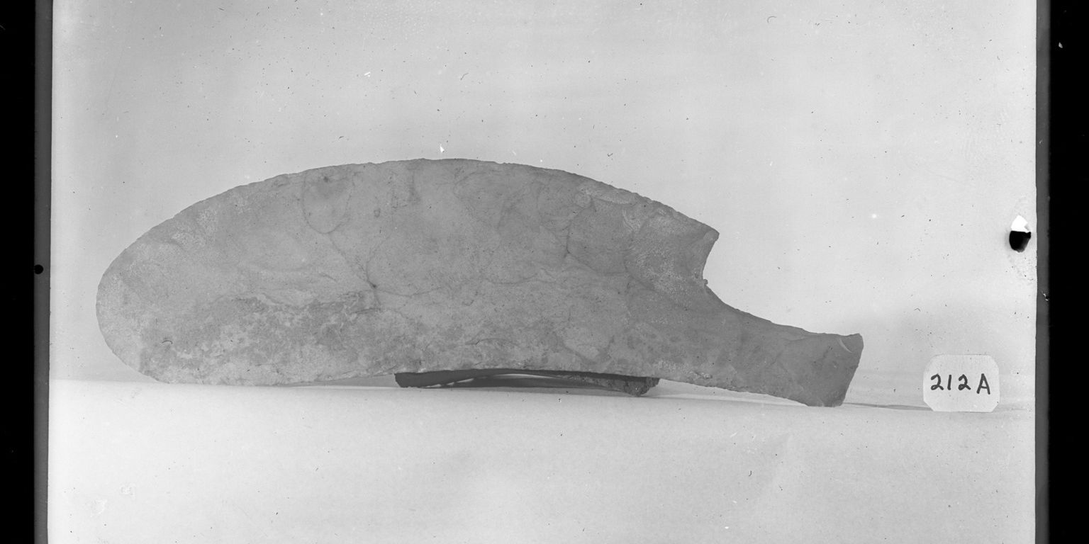 Curved Knife · Brooklyn Museum