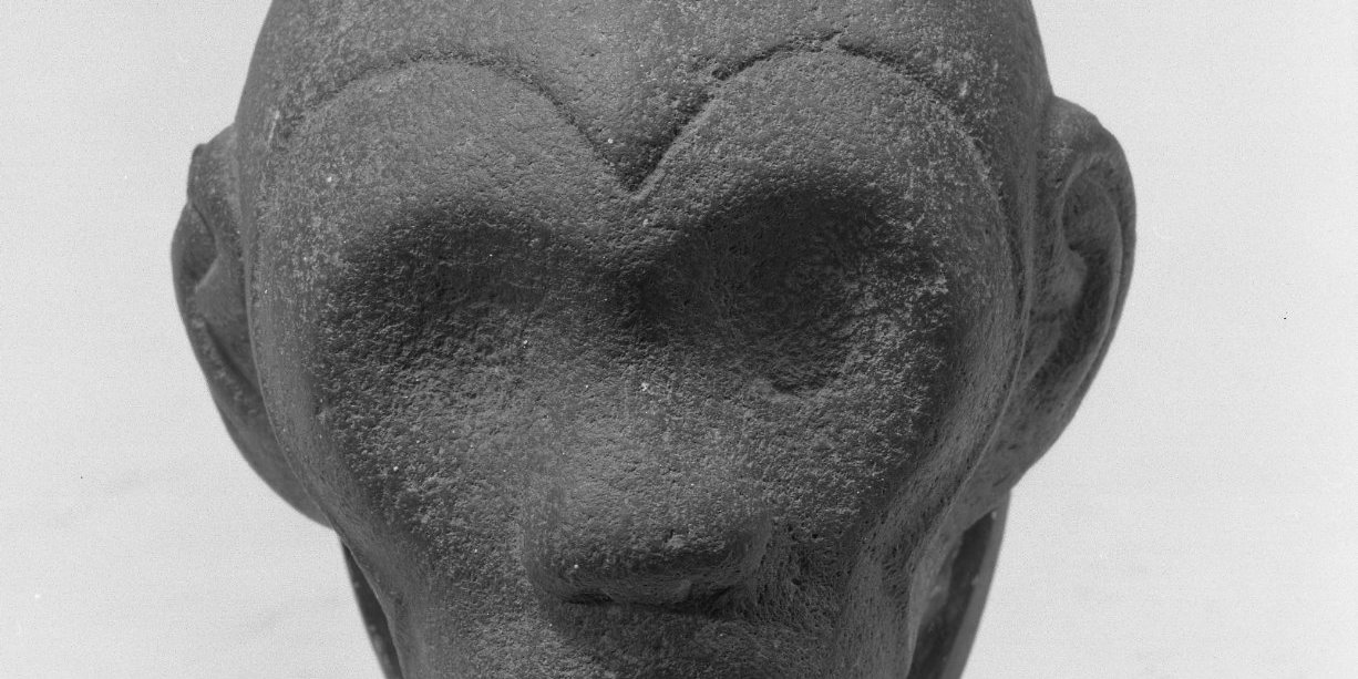 Head of a Monkey · Brooklyn Museum