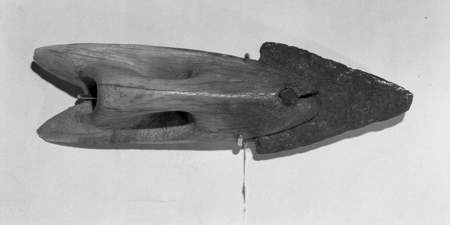 Harpoon Point · Brooklyn Museum