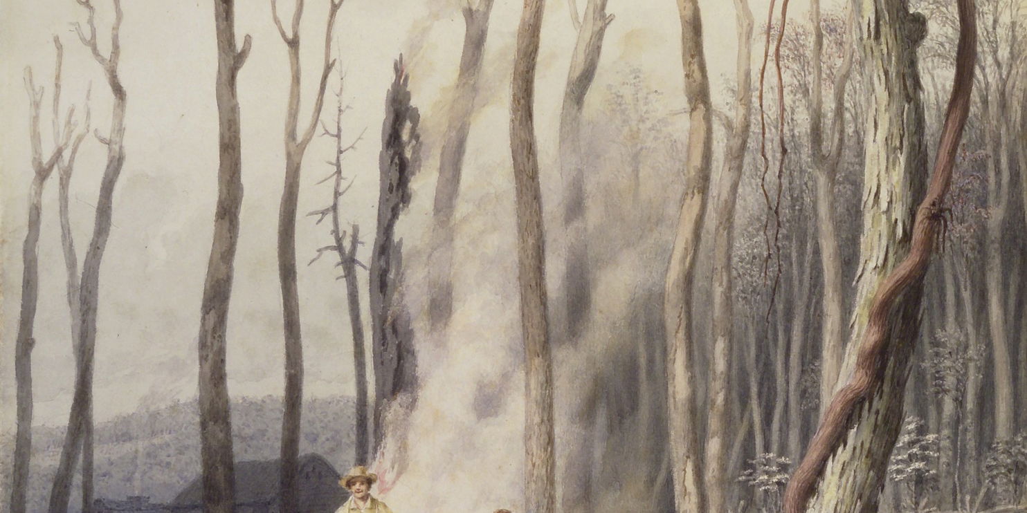 Spring--Burning Fallen Trees, in a Girdled Clearing, Western Scene ...