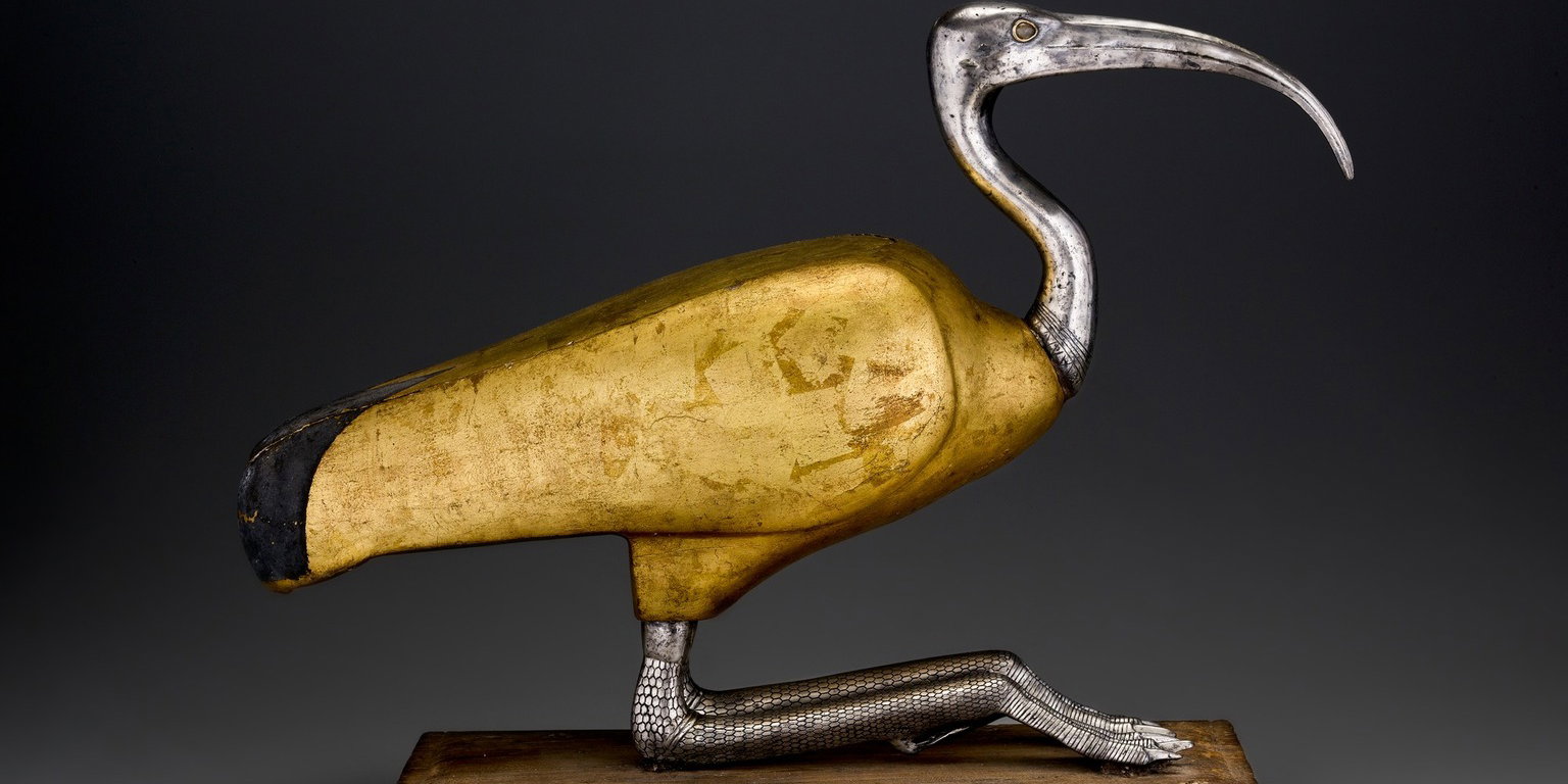 Ibis Coffin (Thoth) · Brooklyn Museum