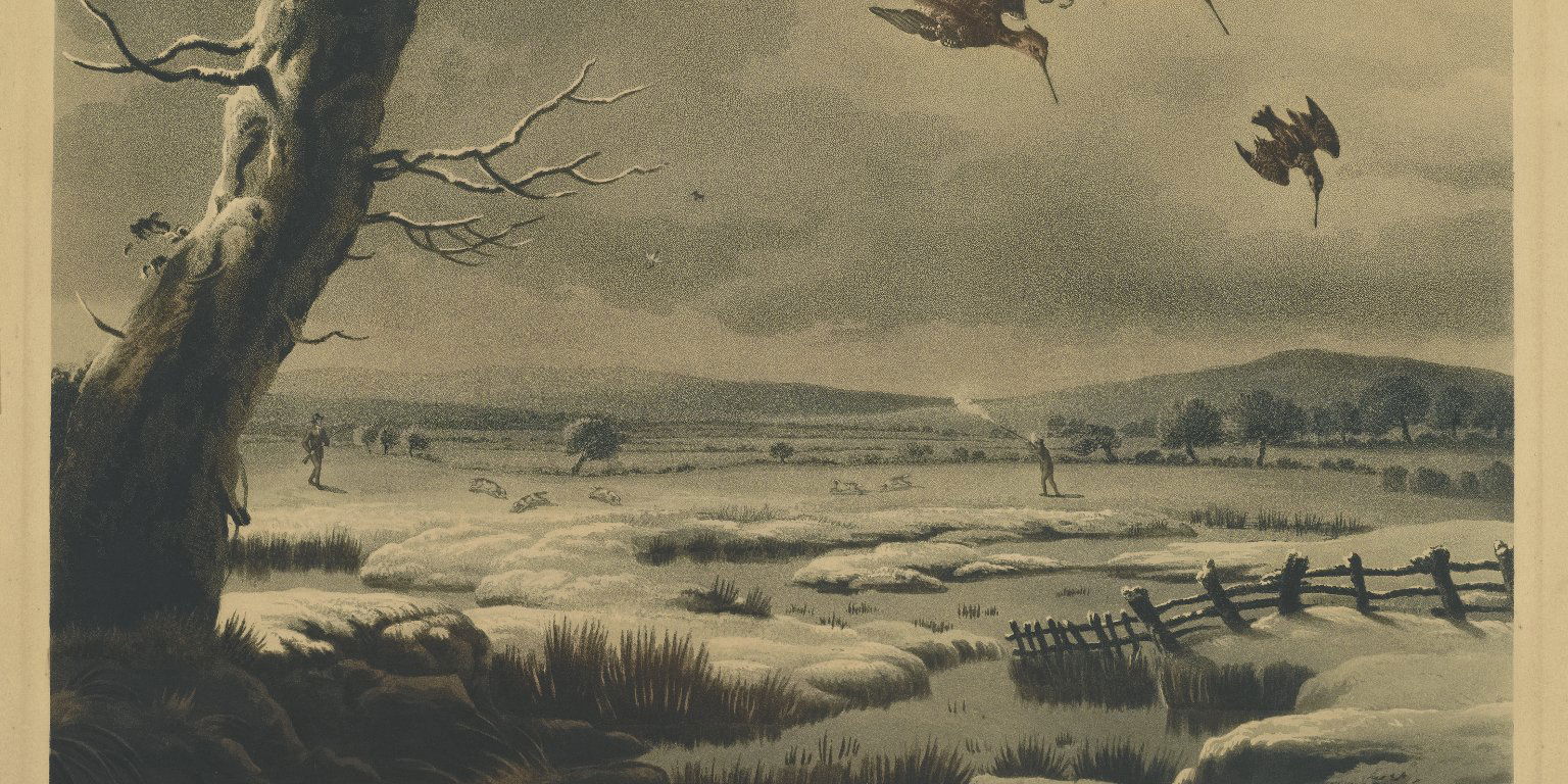 Snipe Shooting · Brooklyn Museum