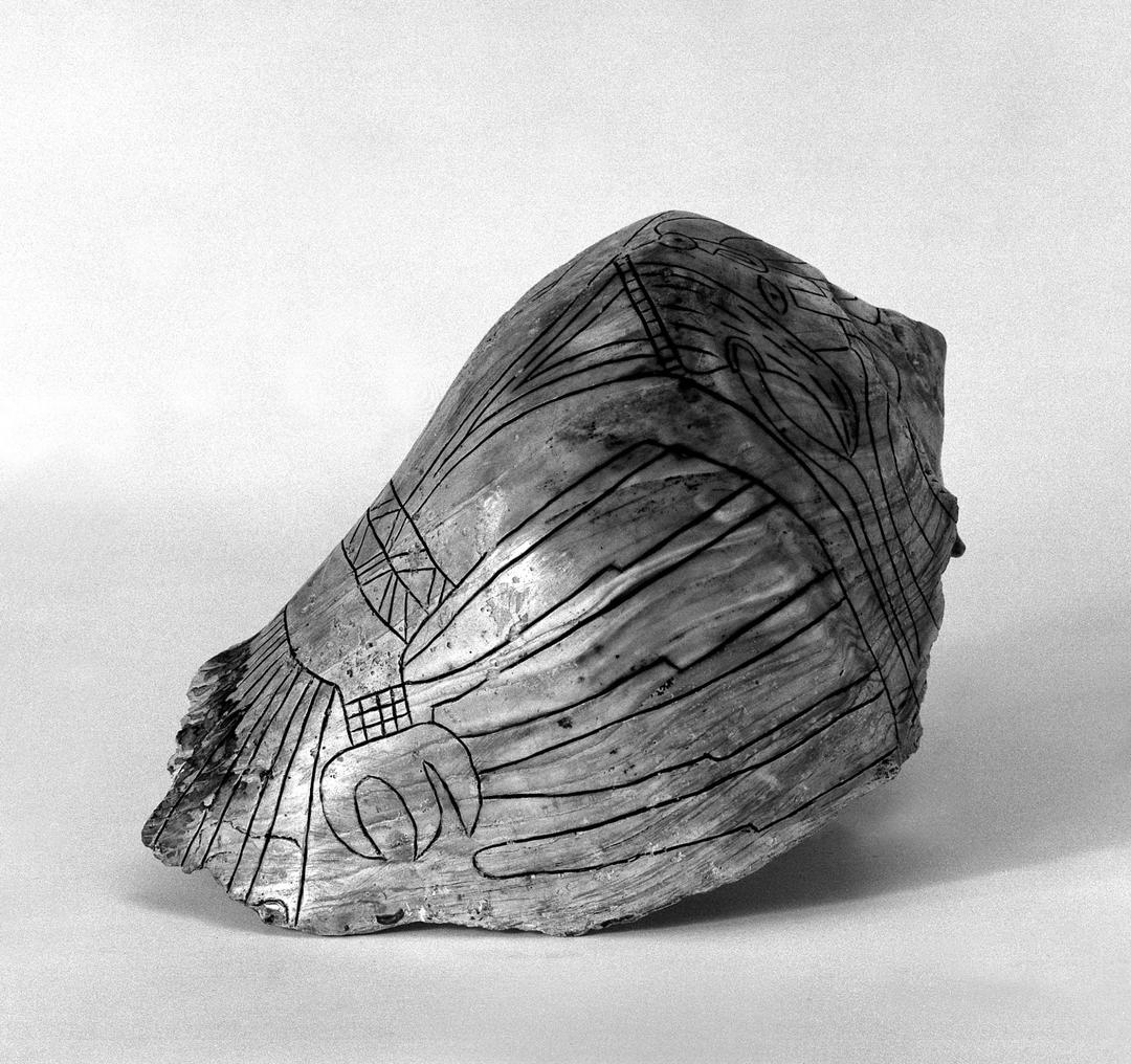 Engraved Conch Shell · Brooklyn Museum