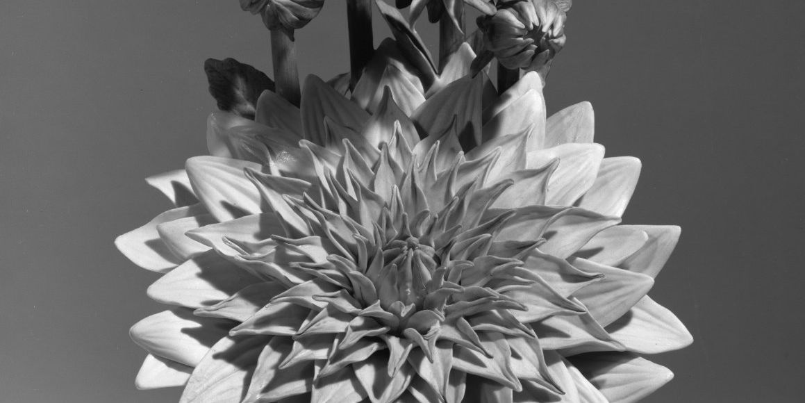 Figure of Dahlia · Brooklyn Museum