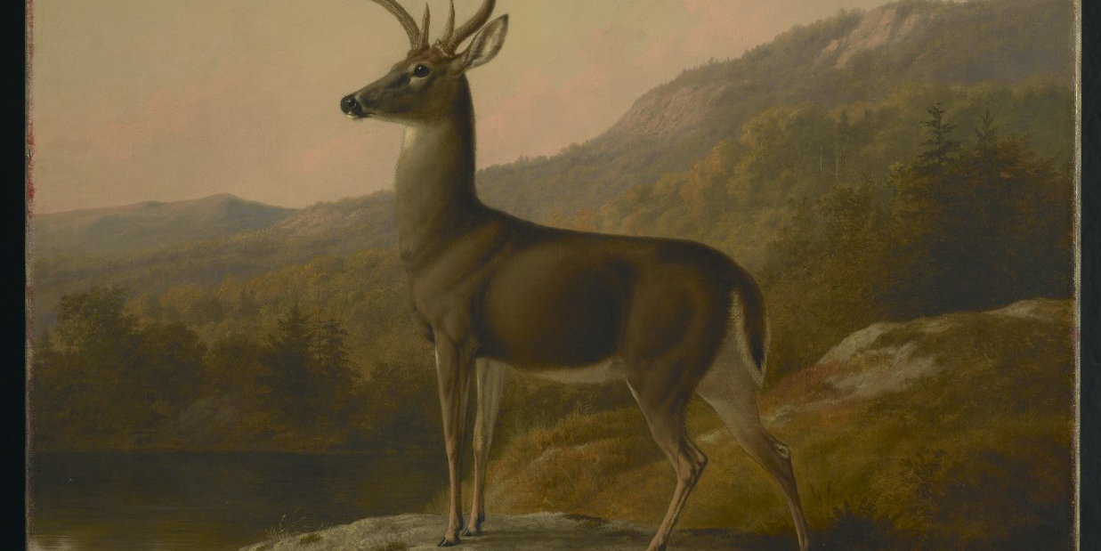 Deer · Brooklyn Museum
