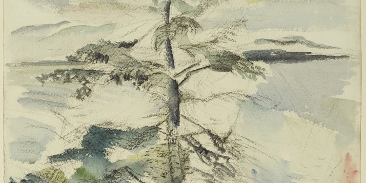 Pine Tree · Brooklyn Museum