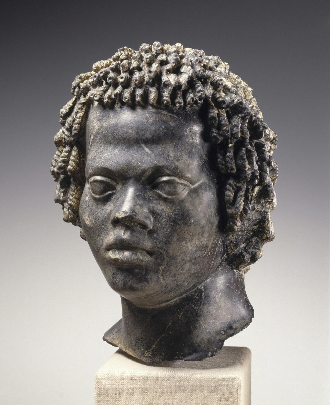 Head of a Man with Tight, Curly Hair · Brooklyn Museum
