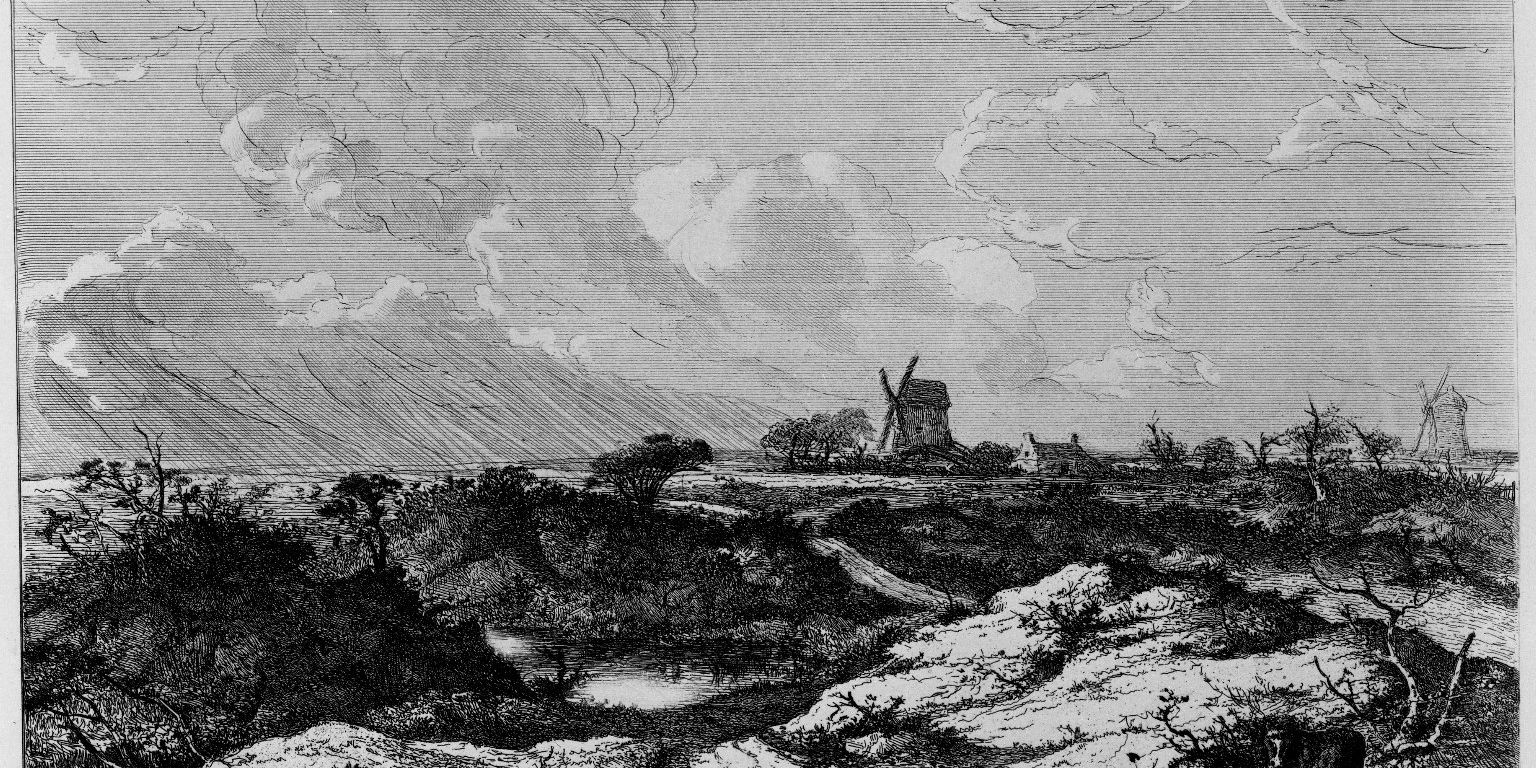 Mousehold Heath, Norwich · Brooklyn Museum