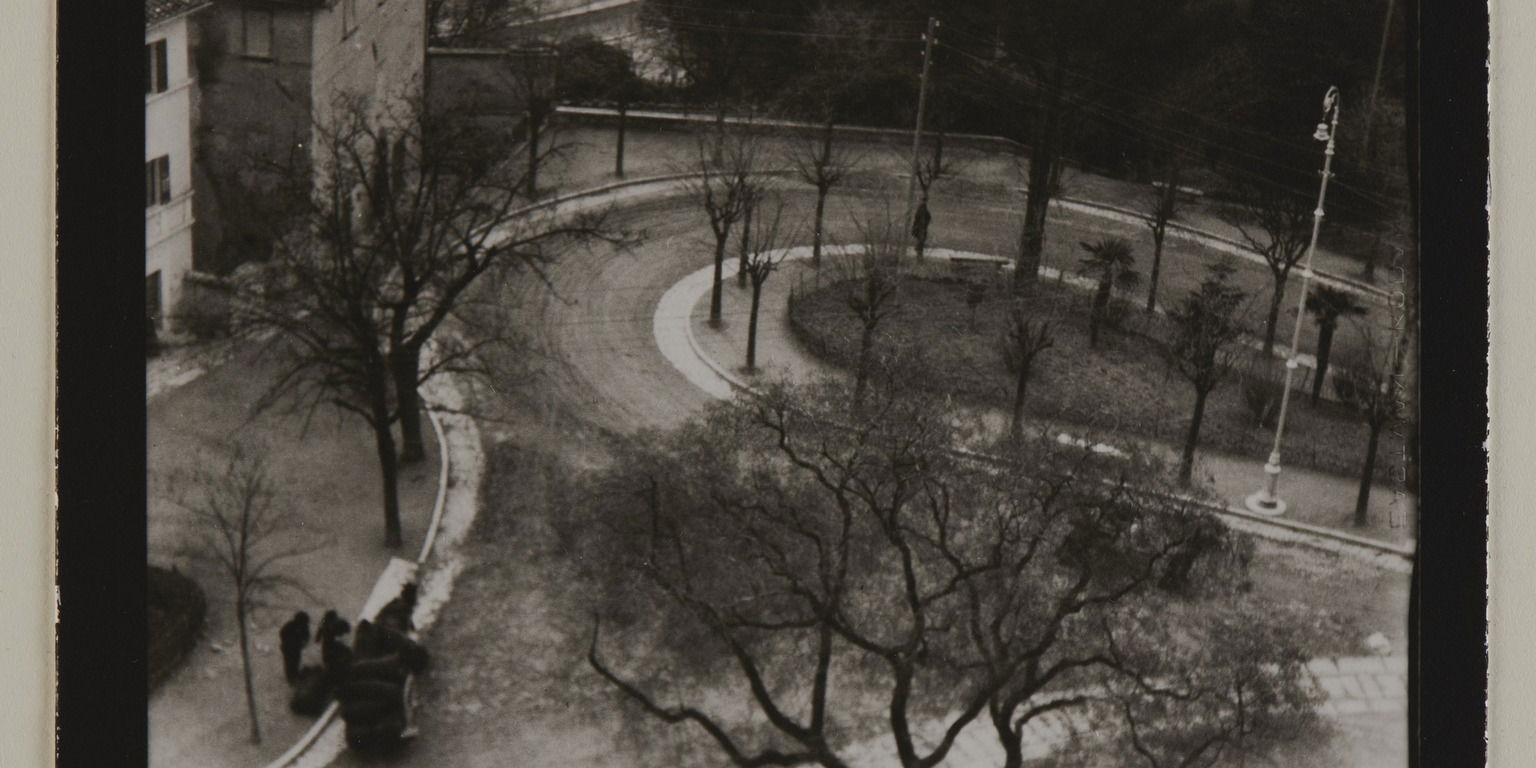 [Negative] (Winding Road in Park) · Brooklyn Museum