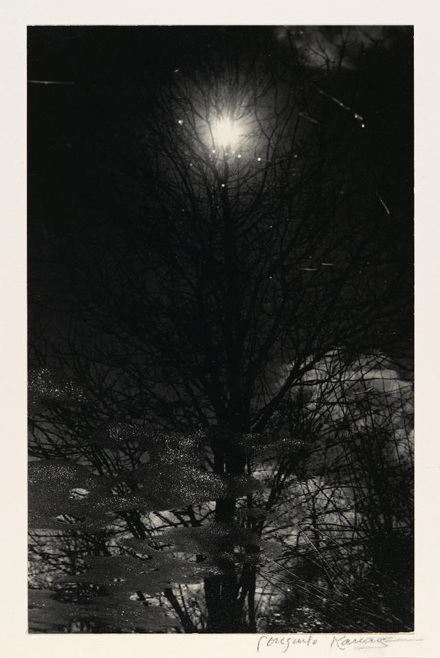 Photographing into Water · Brooklyn Museum