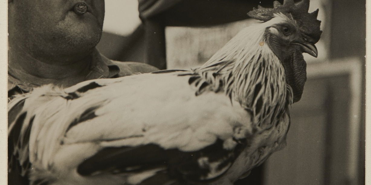 Man with Rooster · Brooklyn Museum