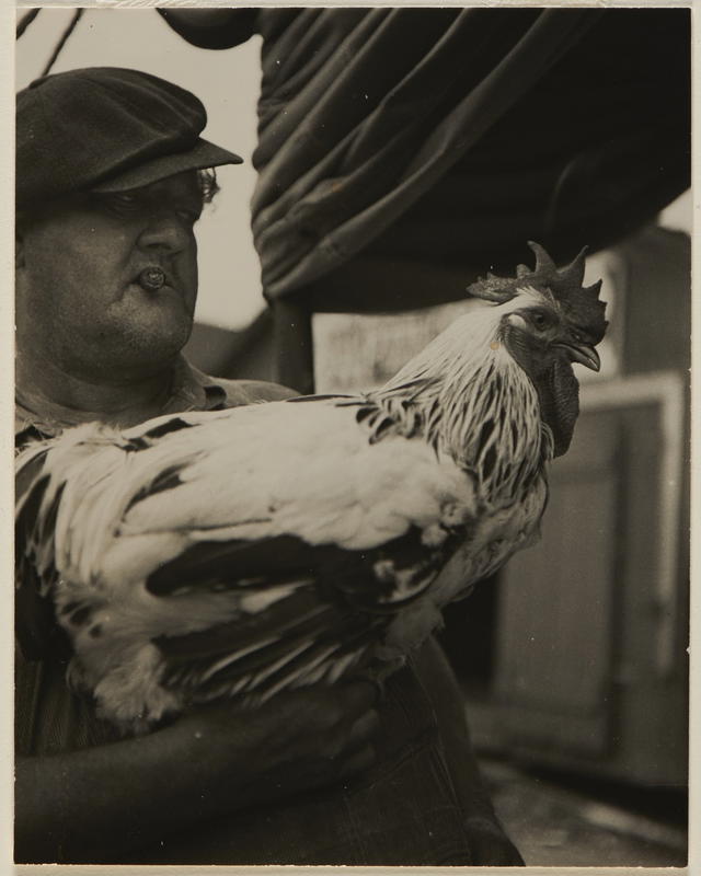 Man with Rooster · Brooklyn Museum