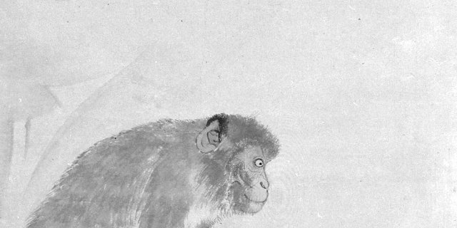 Monkey · Brooklyn Museum