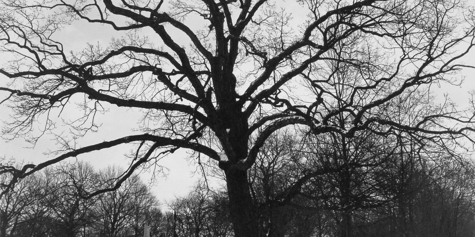 Winter ’83 (Prospect Park) · Brooklyn Museum