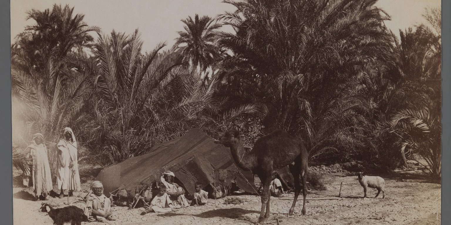 View from Site in Northern Africa or Syria · Brooklyn Museum