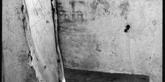 The Drape · Brooklyn Museum