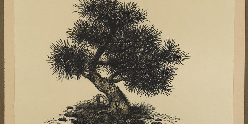 Portrait of Babysan · Brooklyn Museum