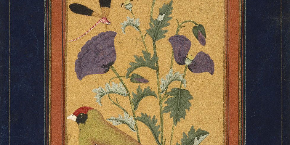 Finch, Poppies, Dragonfly, and Bee · Brooklyn Museum