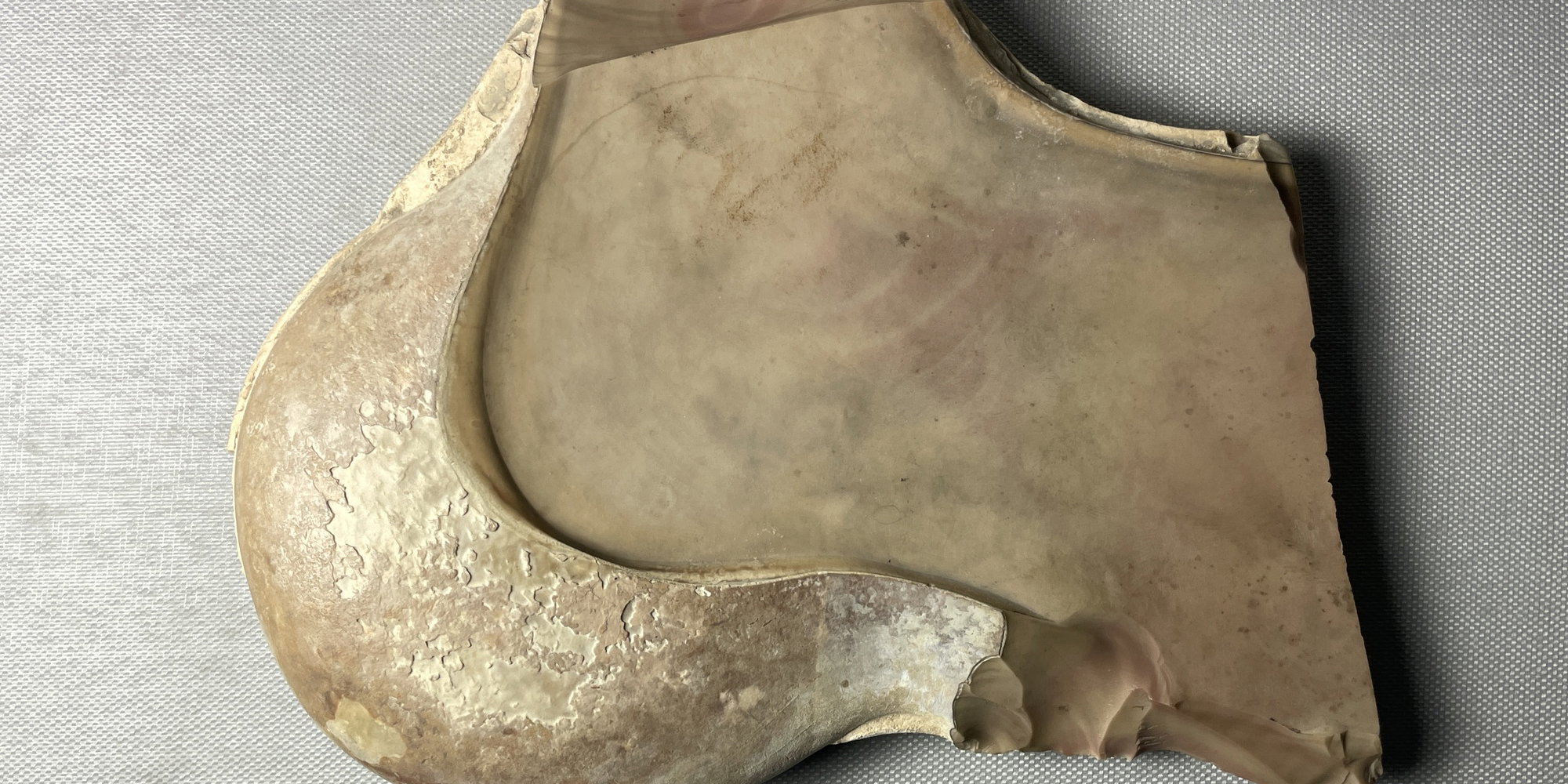 Natural Flint Specimen · Brooklyn Museum