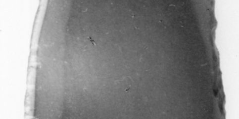 Flake · Brooklyn Museum