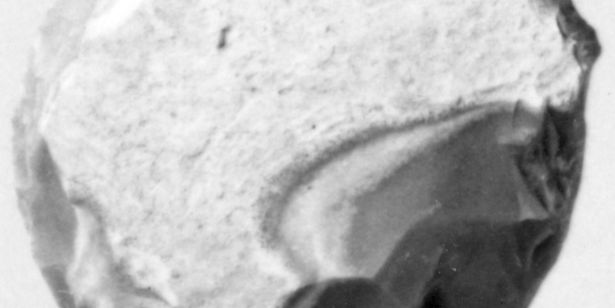 Discoidal Scraper · Brooklyn Museum