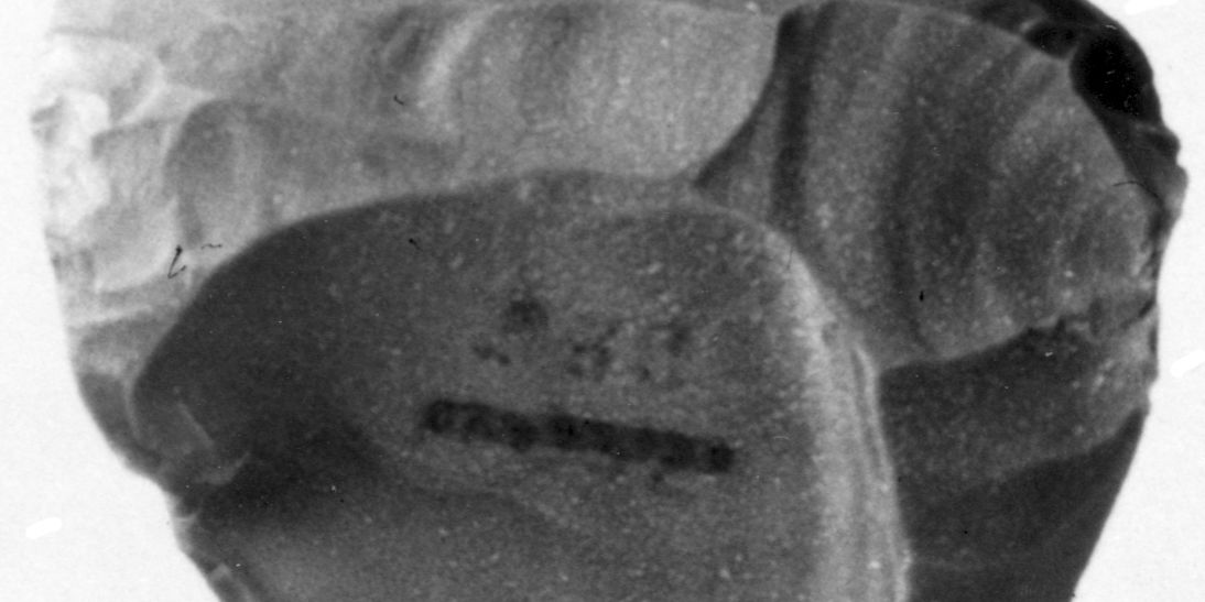 Hoof-Shaped Core Scraper · Brooklyn Museum