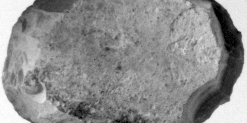 Oval Scraper · Brooklyn Museum