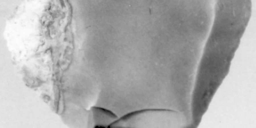 Cutting-Flake or Scraper · Brooklyn Museum