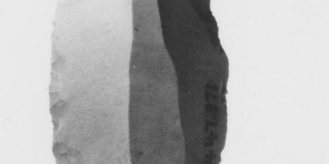 Oval Scraper · Brooklyn Museum