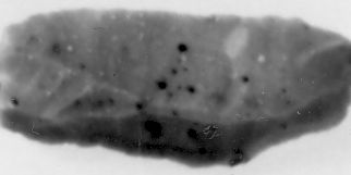 Narrow Flake: Borer(?) · Brooklyn Museum