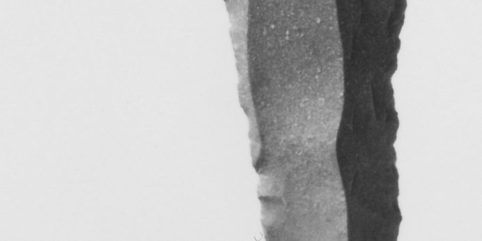 Flake: End Scraper(?) · Brooklyn Museum