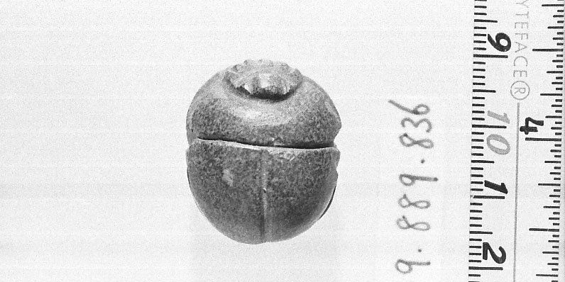 Ovoid Shaped Scarab · Brooklyn Museum