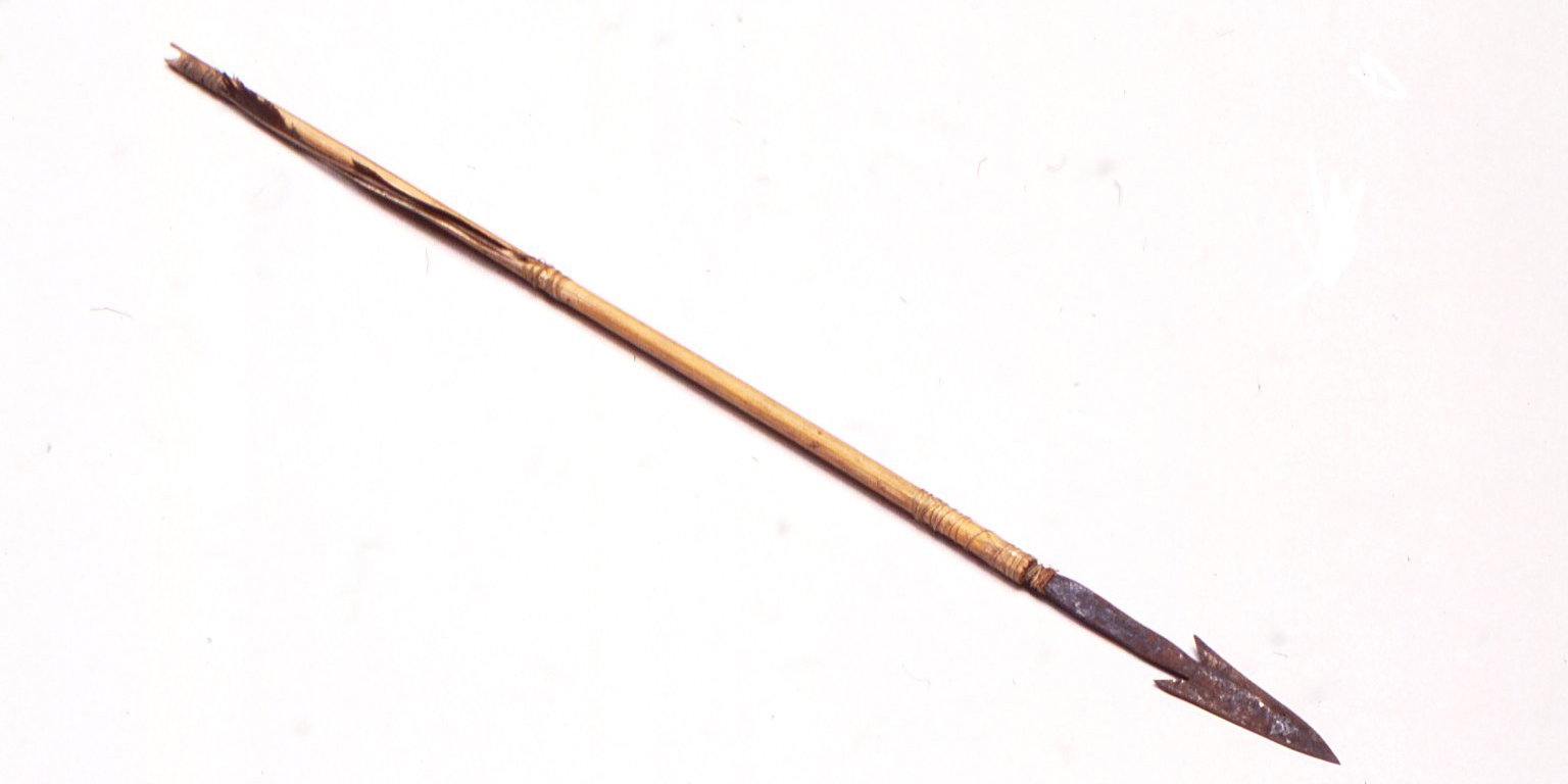 Feather Tipped Arrow · Brooklyn Museum