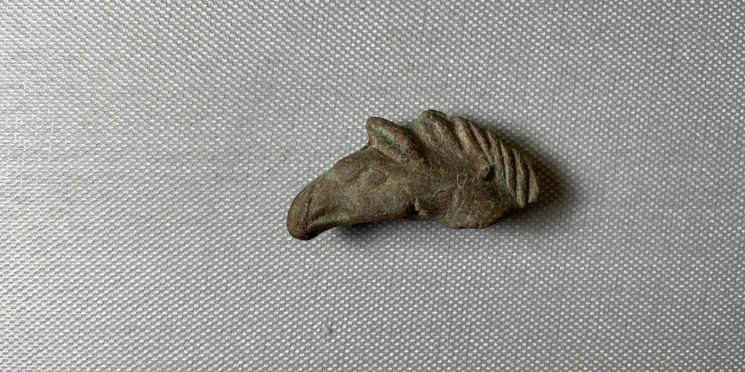Head of a Griffin · Brooklyn Museum
