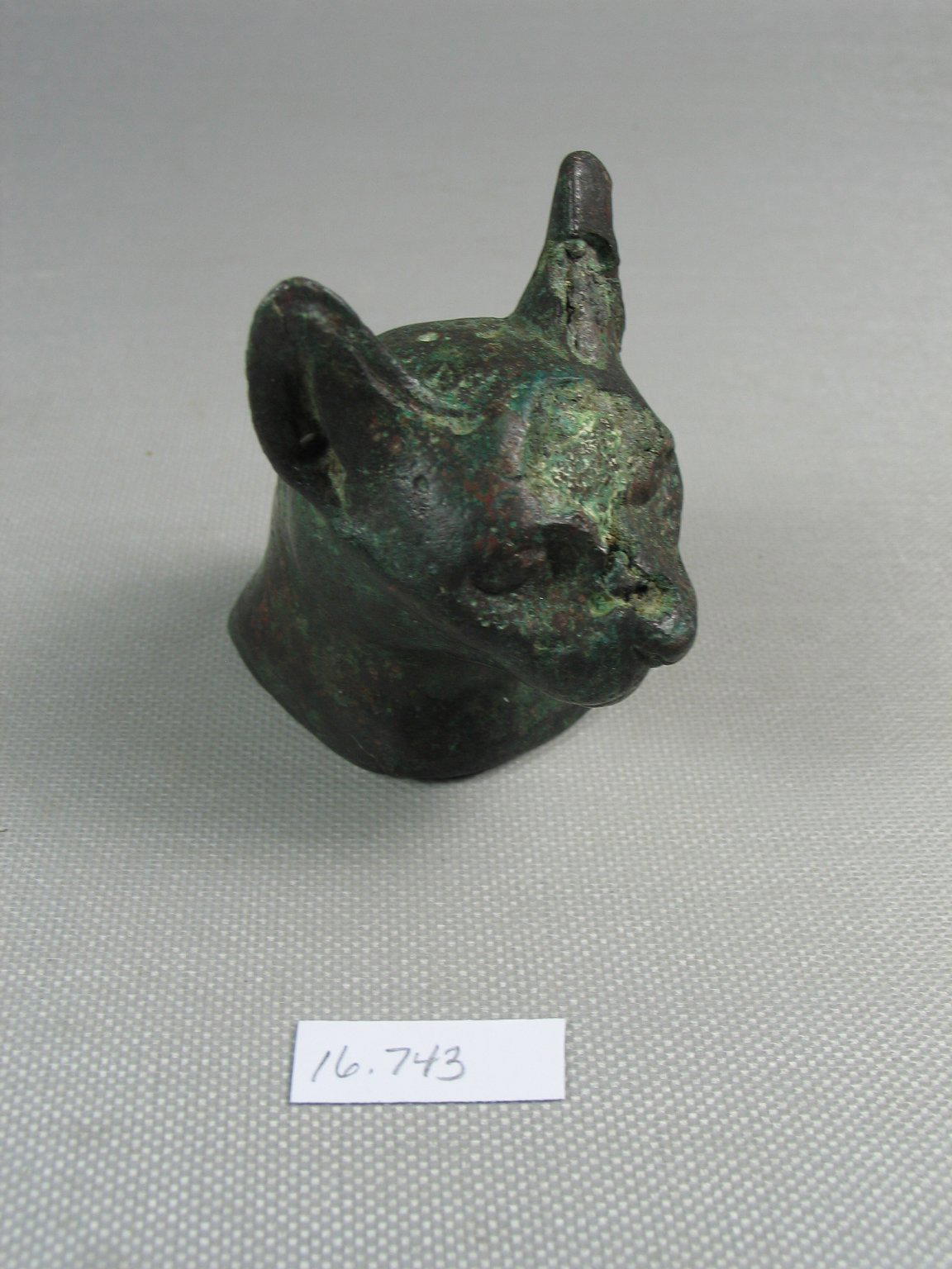Head of a Cat · Brooklyn Museum