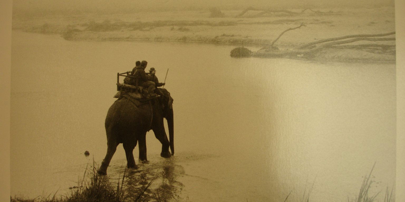 Royal Chitwan National Park, Nepal · Brooklyn Museum