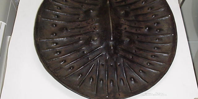 Shield · Brooklyn Museum