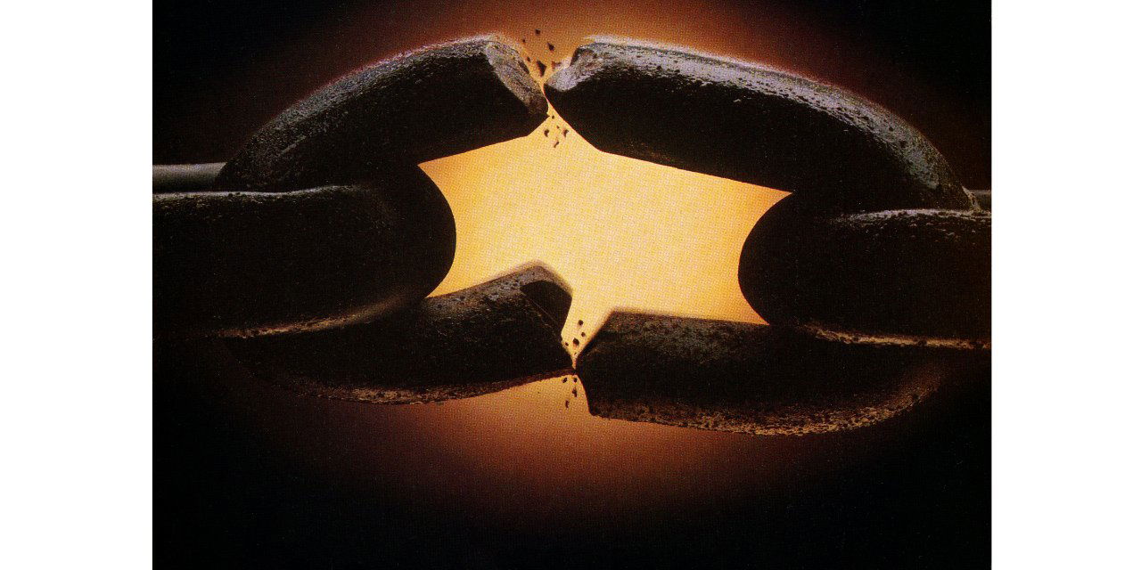 Martin Luther Burger King? 1986/2007 · Brooklyn Museum