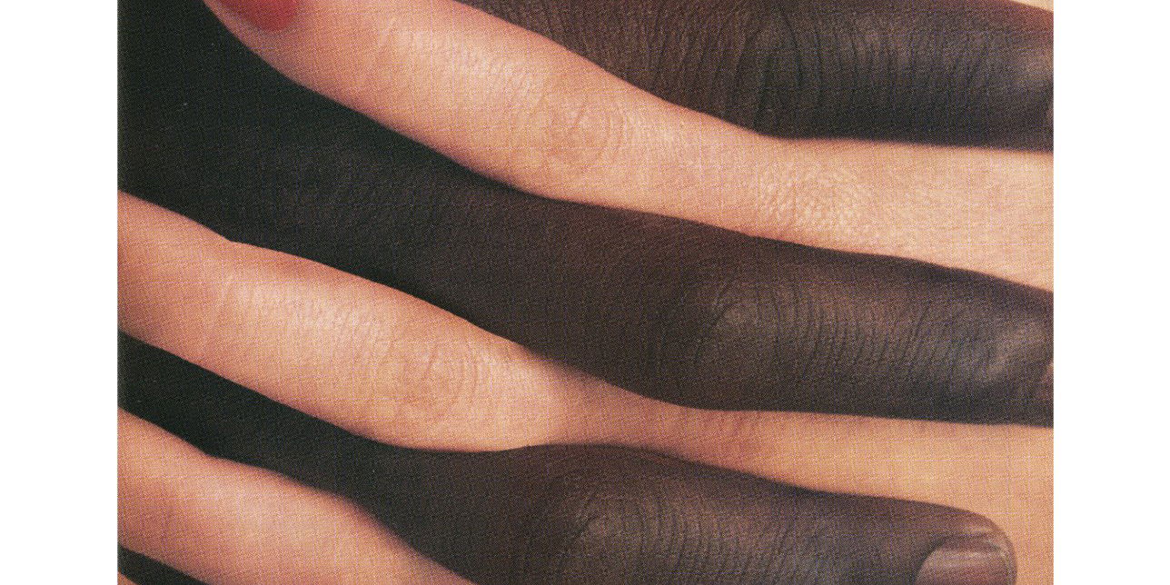 Jungle Fever 1991/2007 · Brooklyn Museum