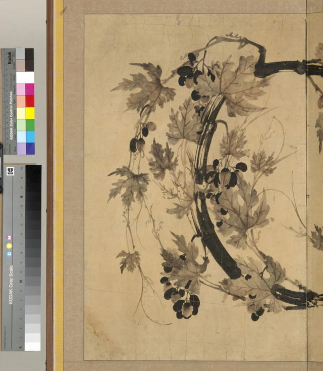 Grape Vine · Brooklyn Museum