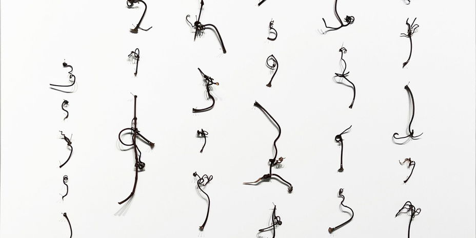 Manuscript of Nature V_Brooklyn Museum · Brooklyn Museum