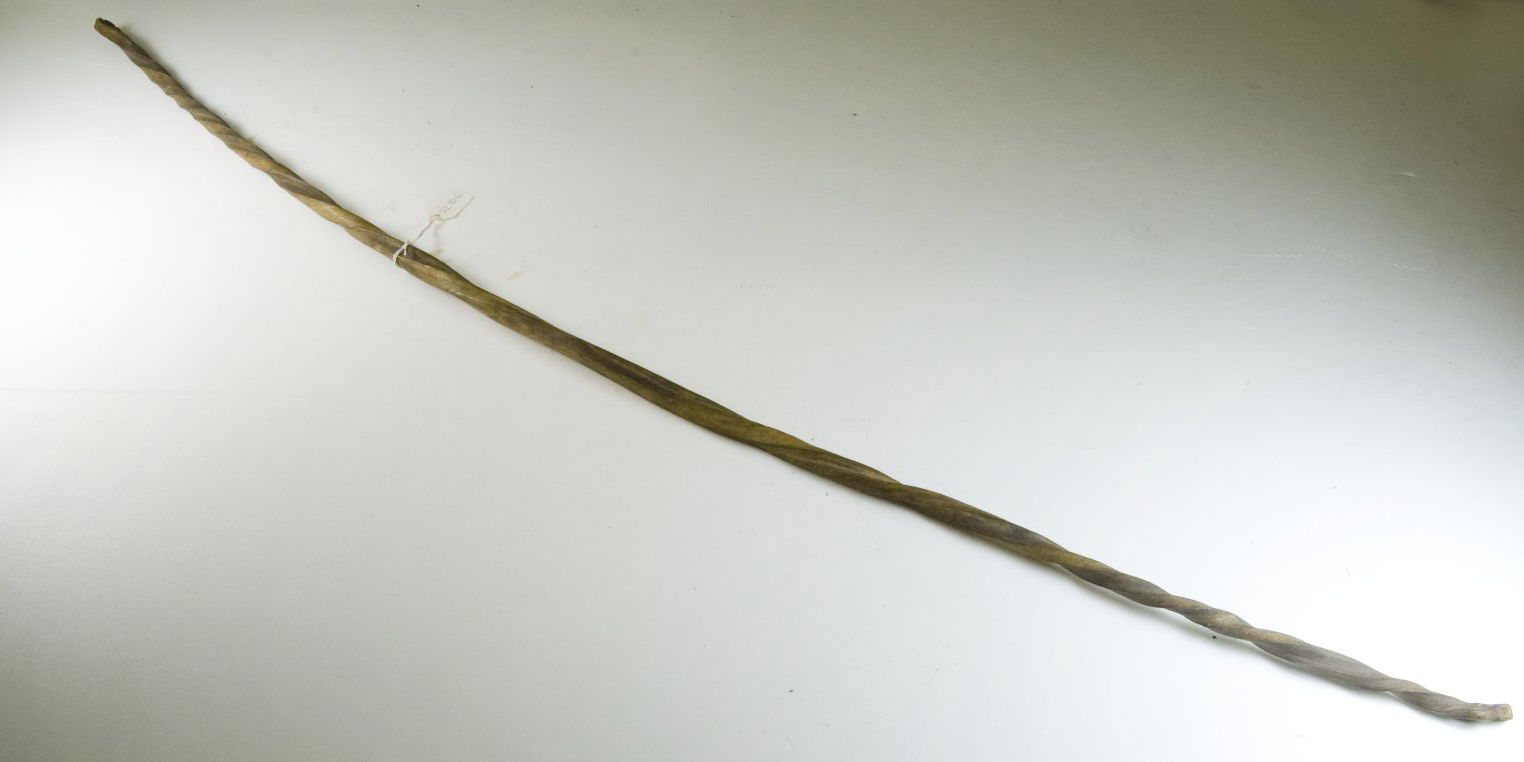 Whip (Chicotte) · Brooklyn Museum