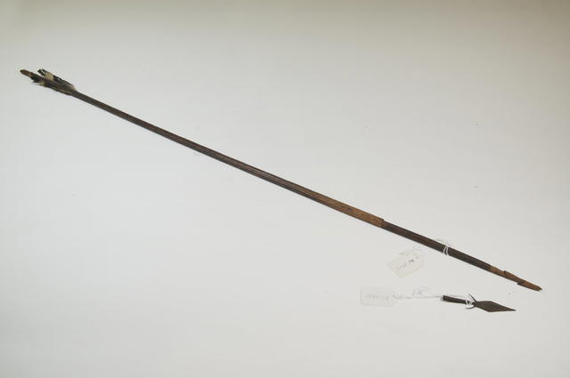 Poisoned Darts · Brooklyn Museum