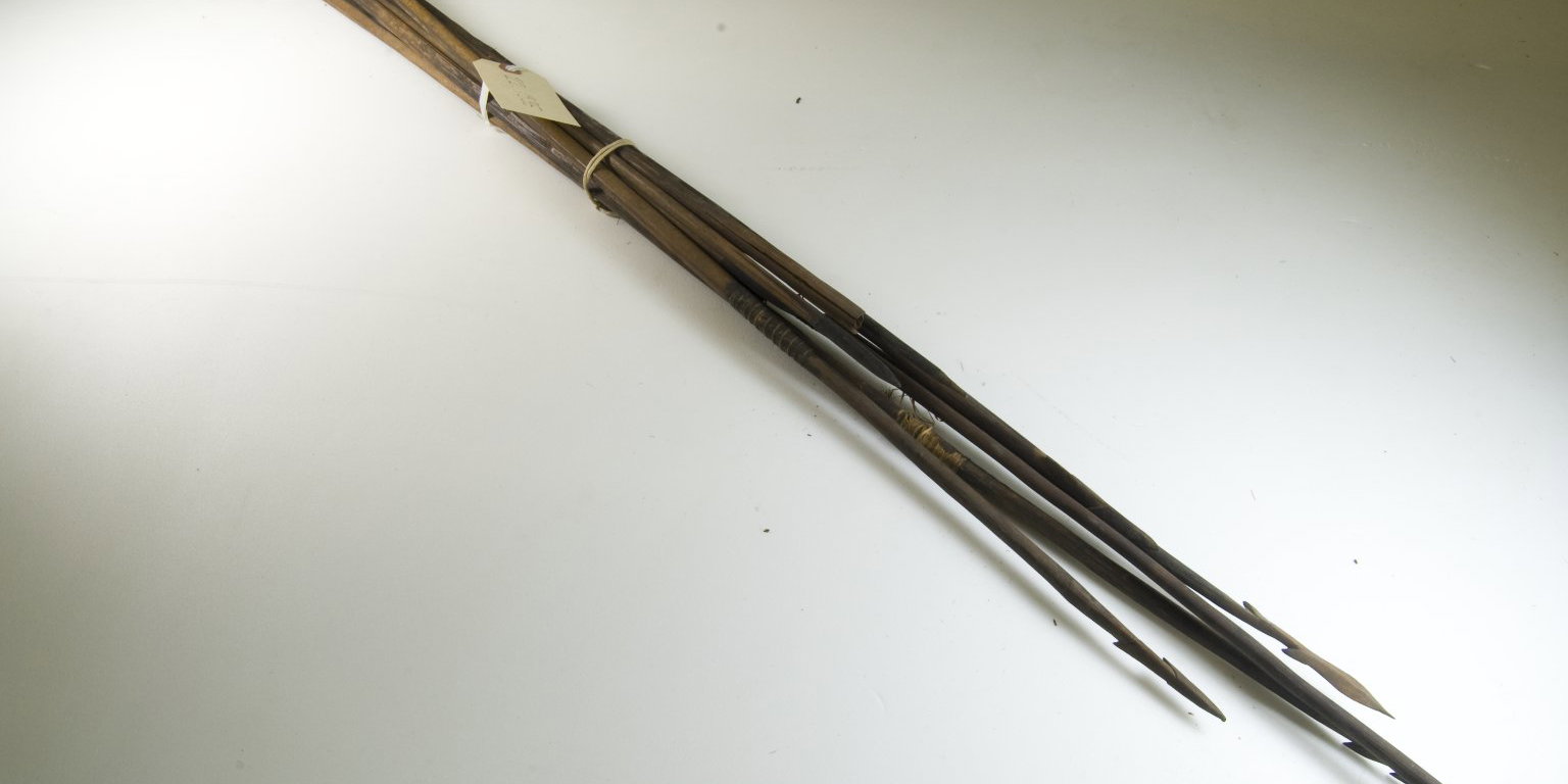 Poisoned Darts · Brooklyn Museum