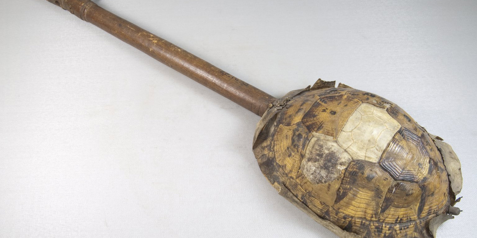 Lute · Brooklyn Museum