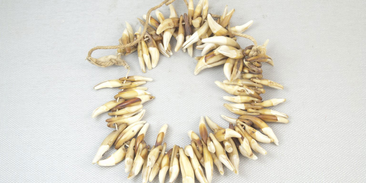String of Monkey Teeth · Brooklyn Museum